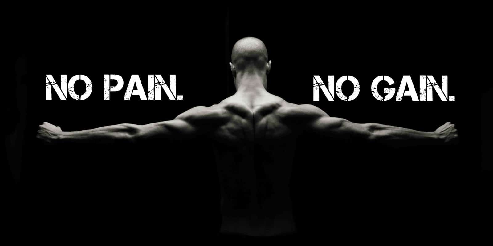 No Brain No Gain